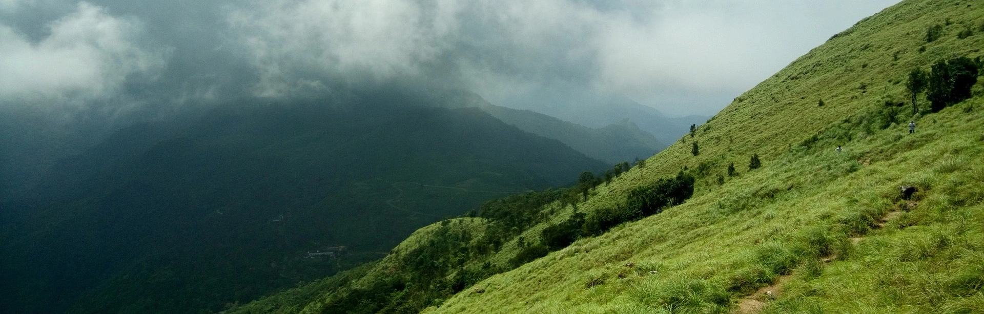 Kerala Forest Ecotourism